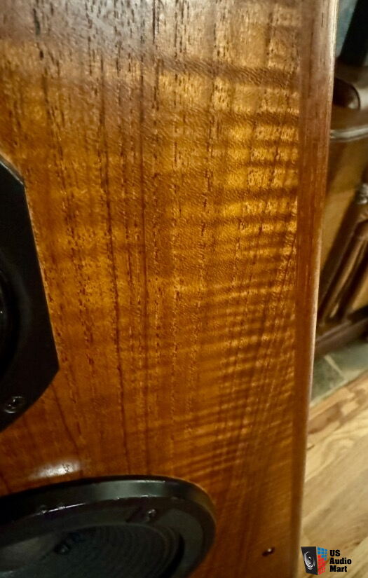 JBL 250ti Photo #5476539 - US Audio Mart