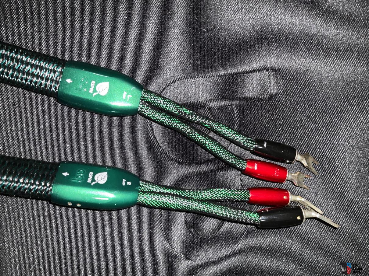 Audioquest Spearker Cables Photo #5479772 - US Audio Mart