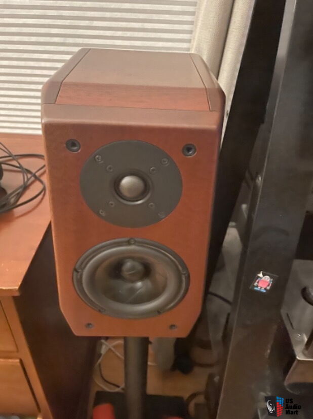 Opera callas monitor speaker Photo #5486183 - US Audio Mart