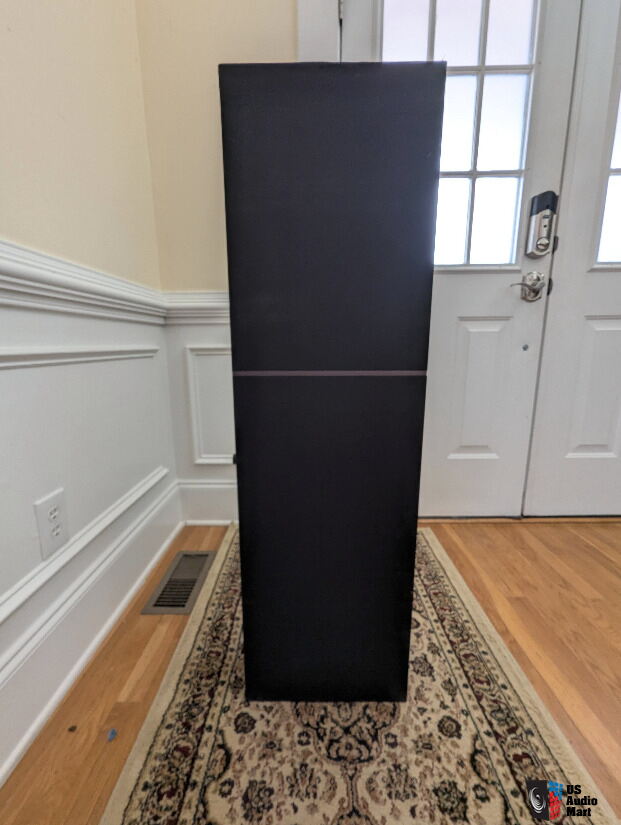 Definitive Technology Dymension DM60 Tower Speakers Photo #5484469 - US ...