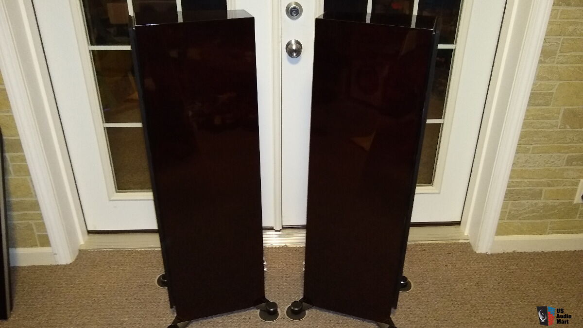 Paradigm Founders 100F in Midnight Cherry with Boxes Photo #5487501 ...