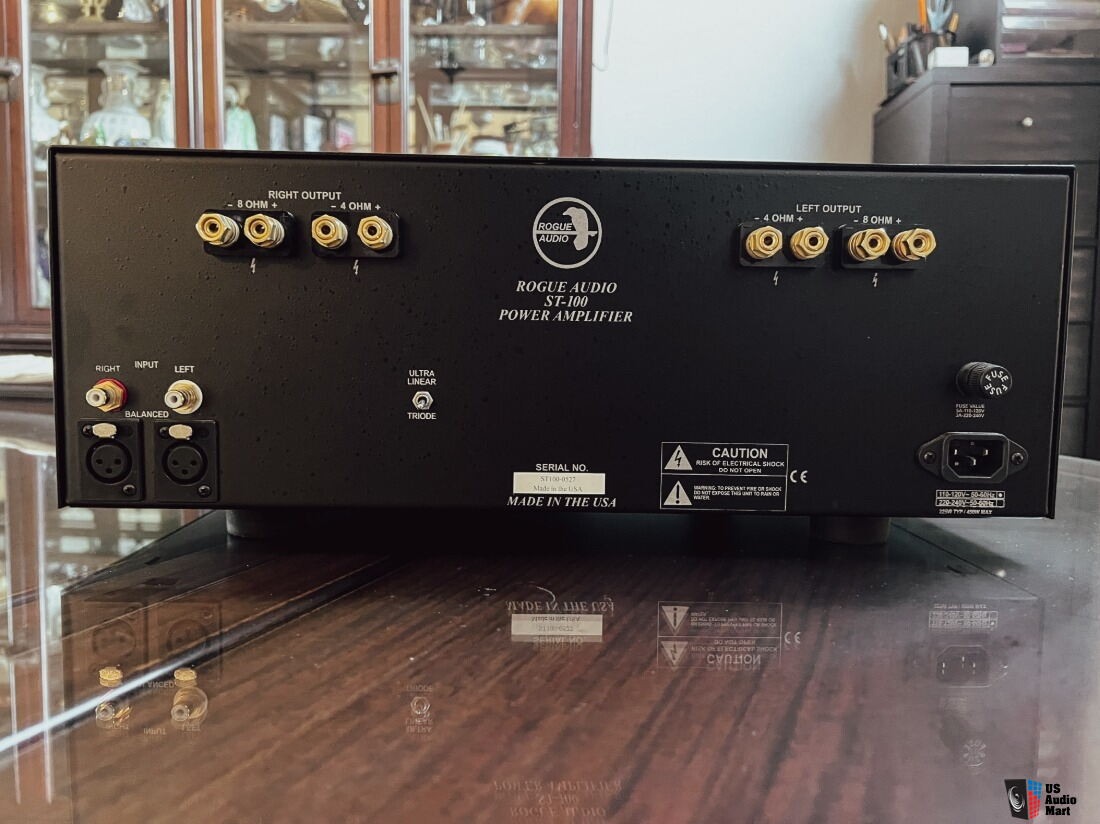 Rogue Audio Stereo 100 (ST-100) Photo #5492606 - US Audio Mart
