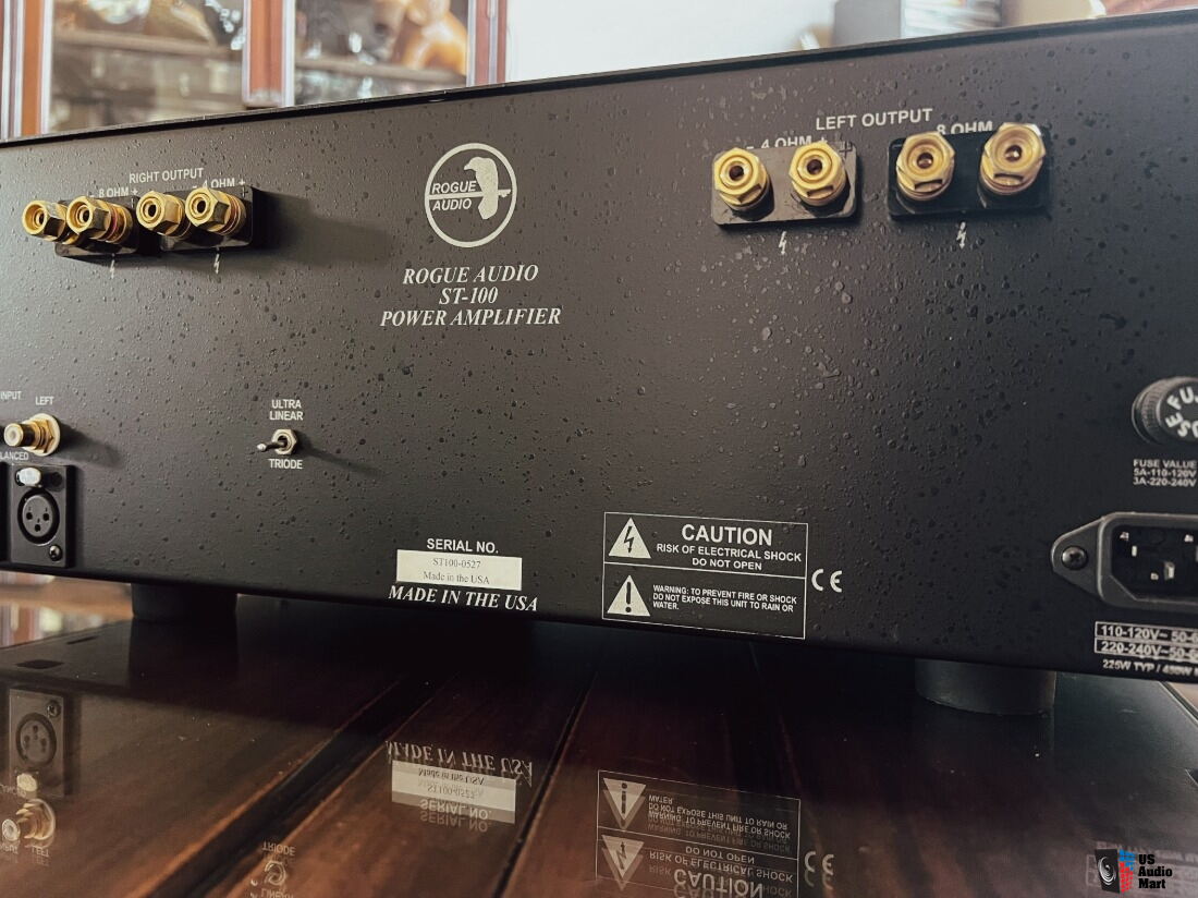Rogue Audio Stereo 100 (ST-100) Photo #5492607 - US Audio Mart