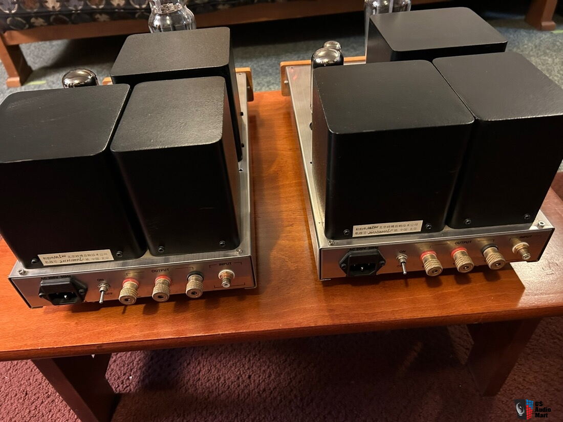 Consonance M500 300b Mono amplifiers Photo #5501263 - Canuck Audio Mart