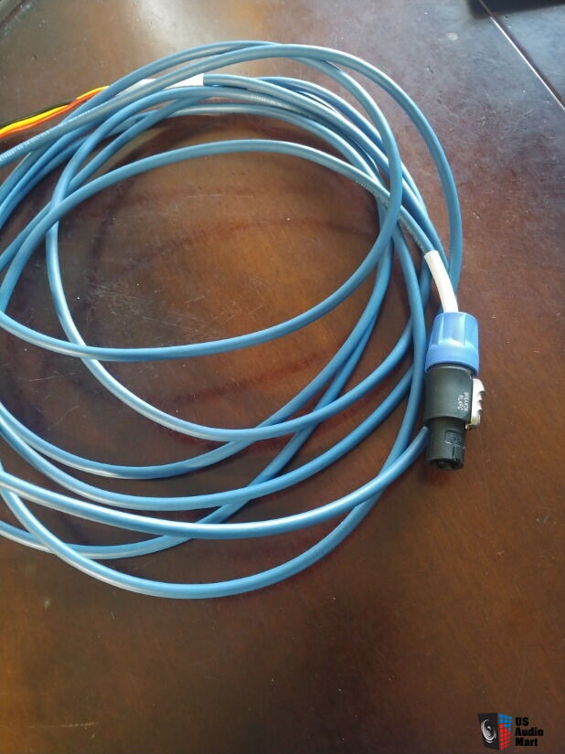 Rel Bassline Blue speakon cable 6m SALE pending Photo #5512265 - US ...
