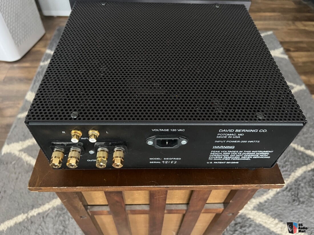 Berning Siegfried 300b ZH-OTL Integrated Photo #5513937 - US Audio Mart