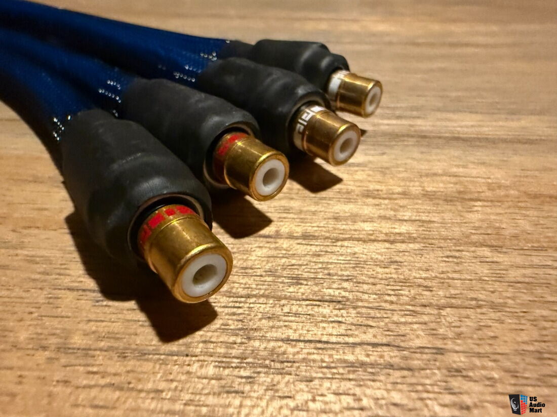 Audio Envy Studio Prestige RCA cables Photo #5514547 - US Audio Mart
