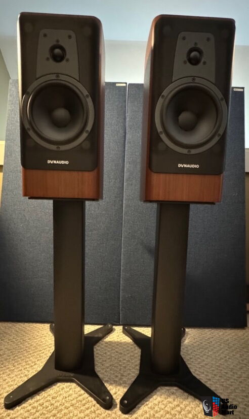 Dynaudio Contour 20i w/ Stand 20 and adapter plates For Sale - US Audio ...