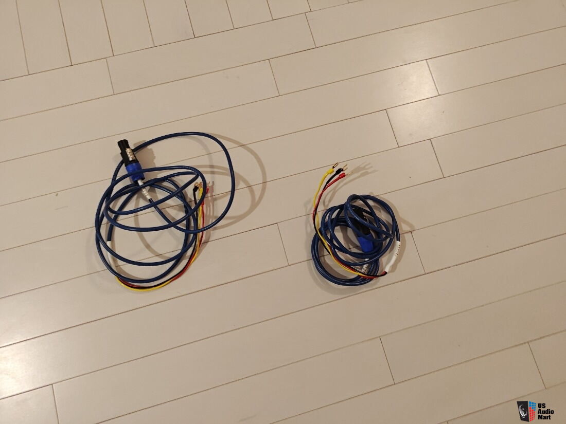 Rel bassline blue 3m For Sale - US Audio Mart