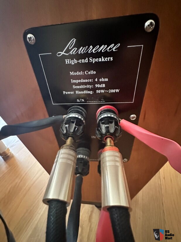 Lawrence Audio Cello Full Range Speakers Photo #5523806 - US Audio Mart