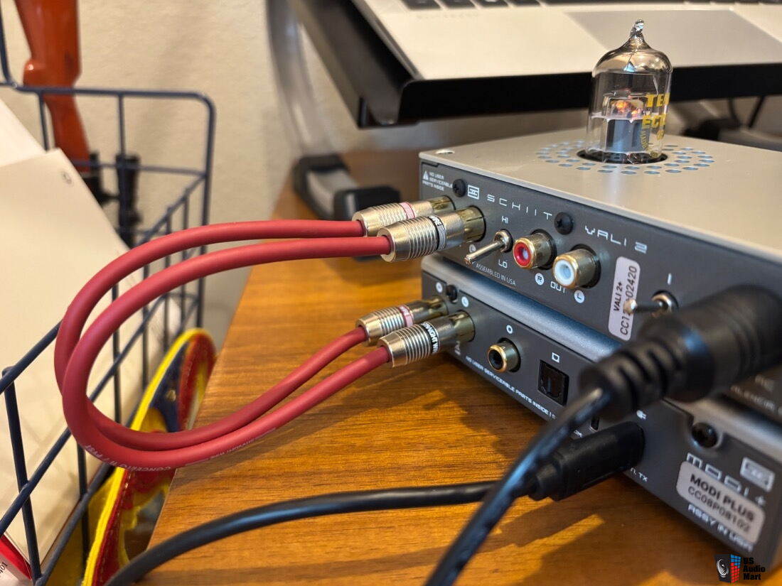 Schiit Vali 2 with Tesla ECC88 & RCA cables Photo #5526706 - US Audio Mart