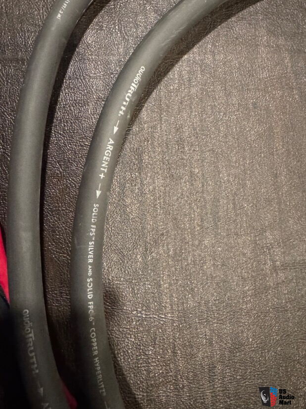 AudioQuest Argent + 8ft pair BiWire AudioTruth, Solid Silver Conductors ...