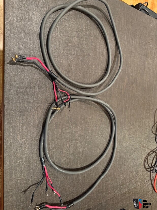AudioQuest Argent + 8ft pair BiWire AudioTruth, Solid Silver Conductors ...
