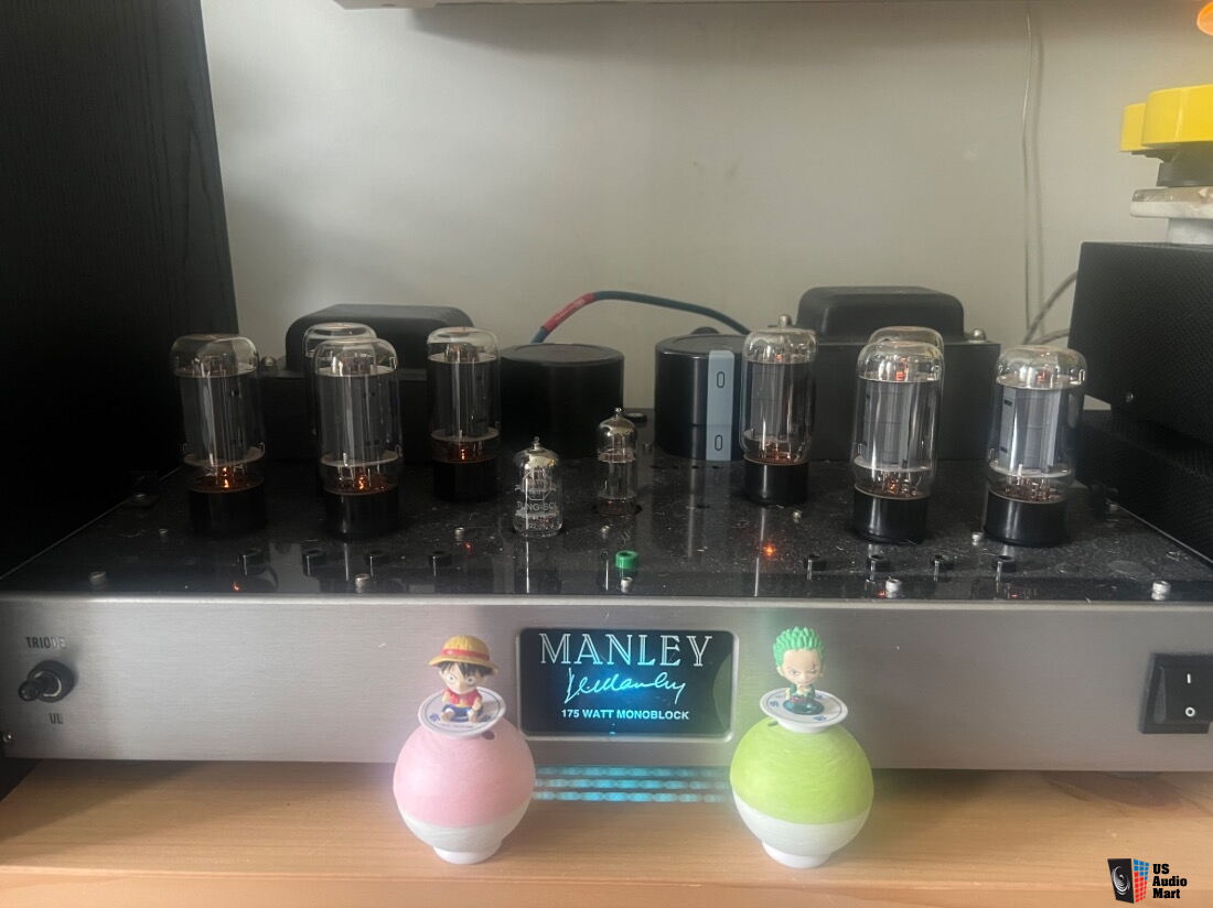 Manley MonoBlock 175 Power amplifier For Sale - US Audio Mart