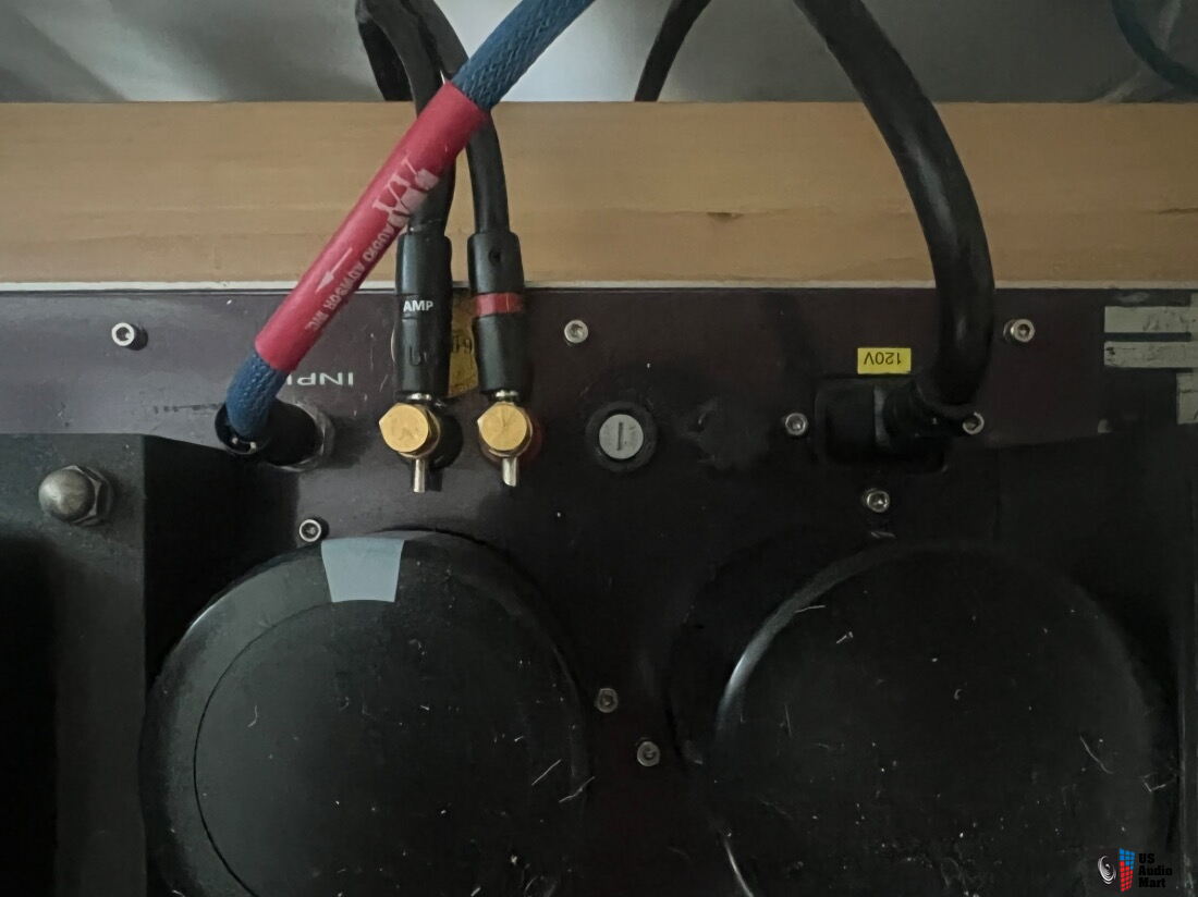Manley MonoBlock 175 Power amplifier Photo #5528736 - US Audio Mart