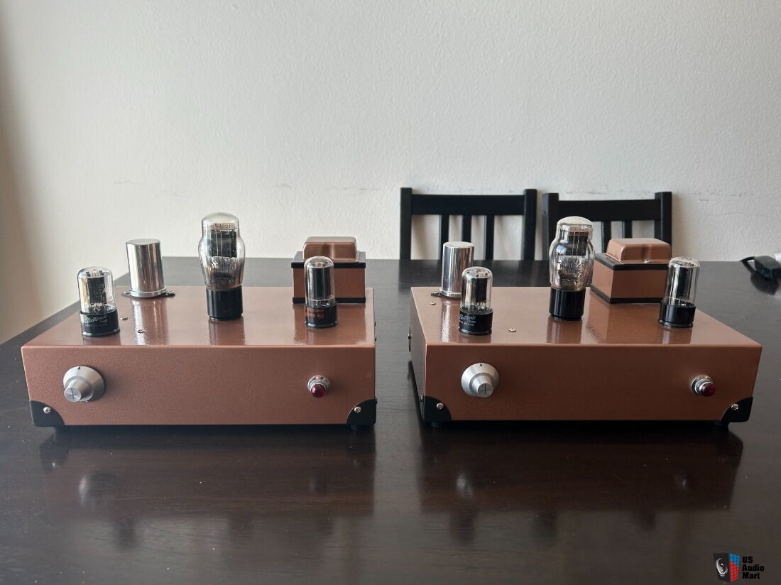 Alan Eaton 45 Mono SET Power Amplifiers Photo #5535009 - US Audio Mart