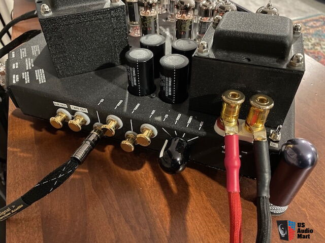 Manley Stingray / Manley Installed updates/mods Gold Lion EL 84's ...