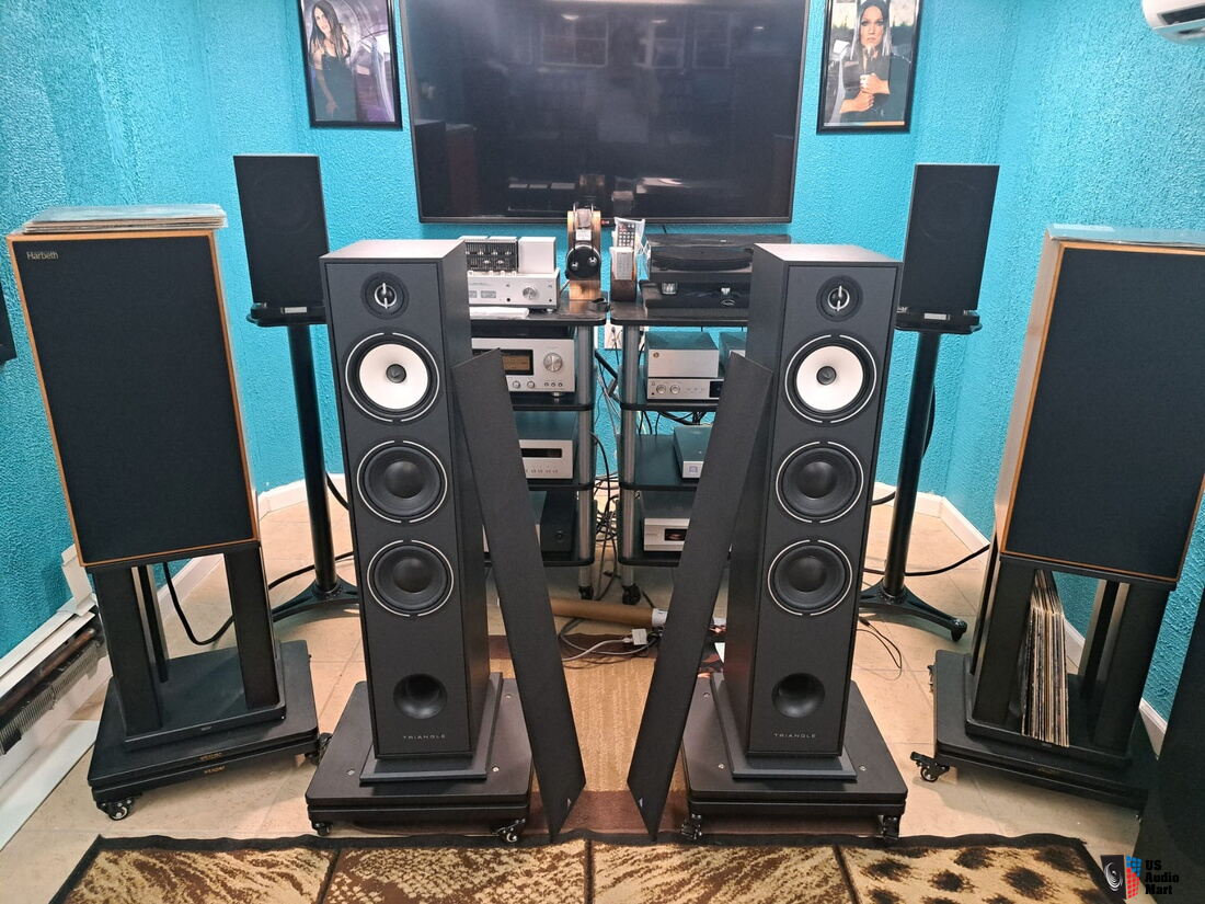 Triangle Borea BR08 Floorstanding Speakers (PAIR) For Sale - US Audio Mart