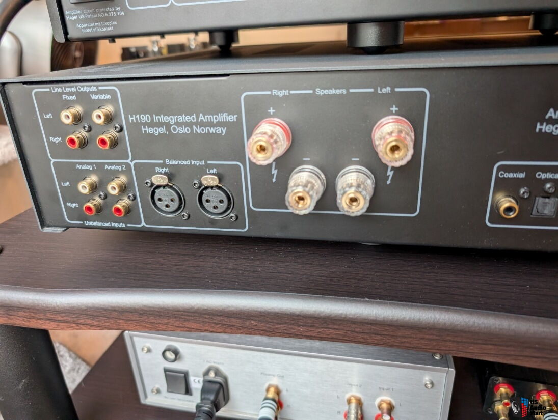 Hegel H190 Photo #5541350 - US Audio Mart