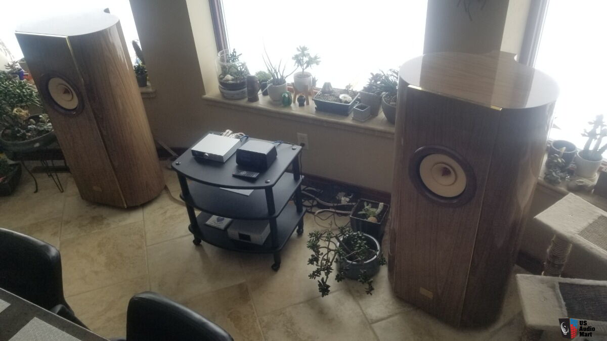 Lii Audio S10 EVO speakers Photo #5544094 - US Audio Mart