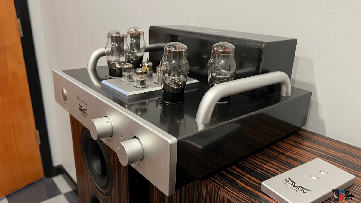 Raven Audio Blackhawk MK3.1 Photo #5547811 - US Audio Mart