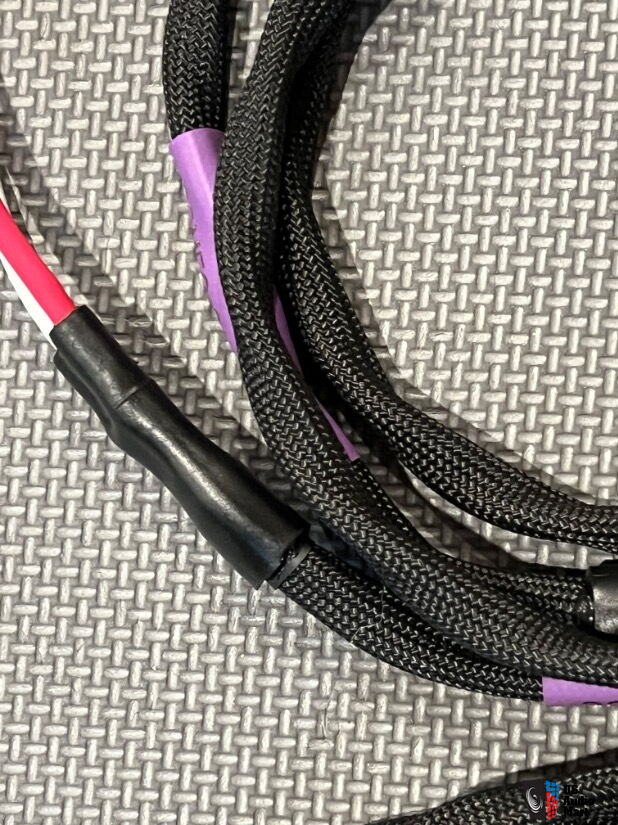 DCA10GA Speaker Cables Photo #5548868 - US Audio Mart