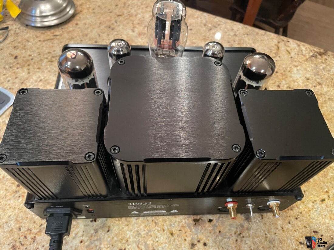 Woo Audio WA22 1st. gen Photo #5550430 - US Audio Mart