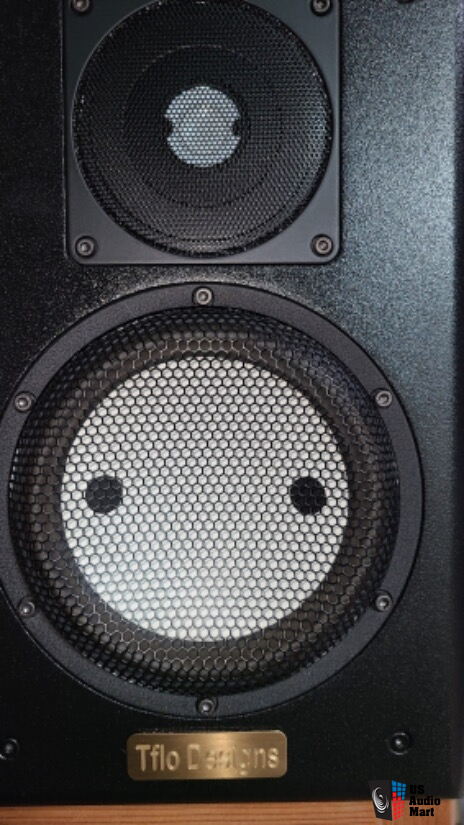 Tflo Designs A3 Accuton Ceramic Drivers Photo #5551445 - US Audio Mart