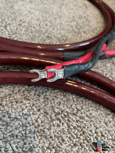 Cardas Golden Cross Speaker Cables Photo #5552083 - US Audio Mart