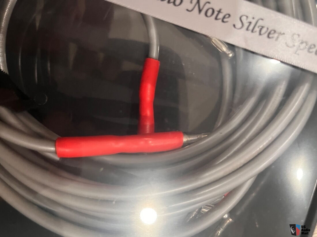 Audionote SPa 2m speaker cable silver banana Photo #5563621 - US Audio Mart