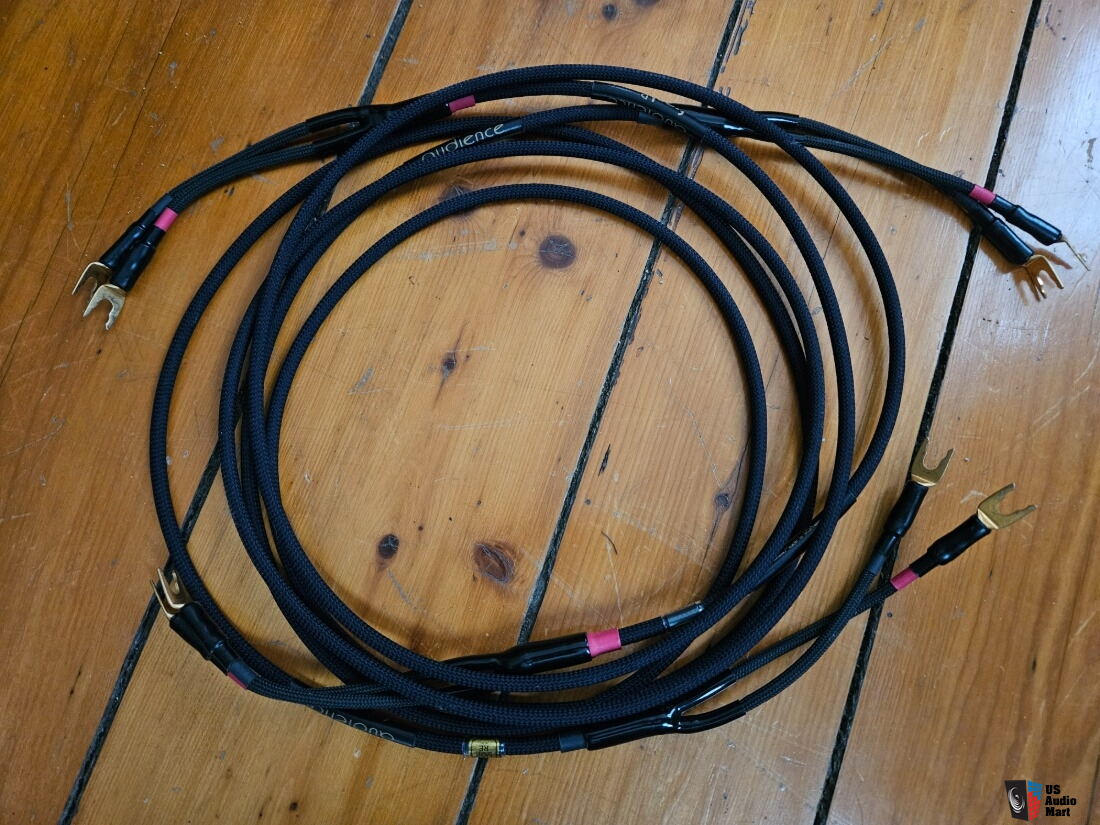 Audience Front Row Speaker Cables 2.5m Photo #5576646 - US Audio Mart