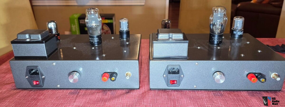 Alan Eaton 45 single-ended tube monoblock amps Photo #5578177 - US ...