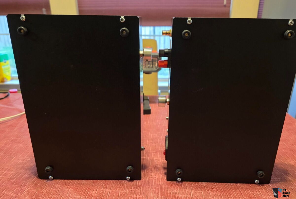 Alan Eaton 45 single-ended tube monoblock amps Photo #5578183 - US ...
