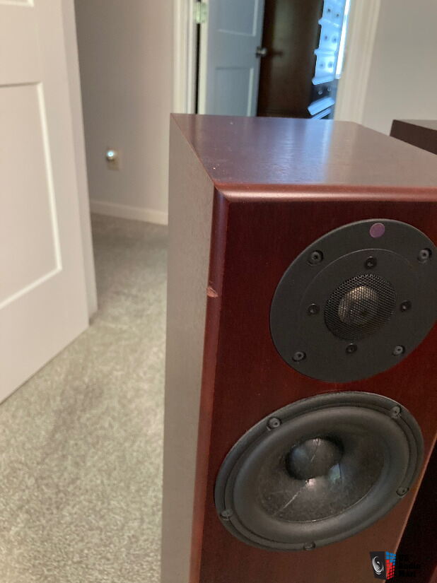 Totem Hawk Speakers Photo #5583316 - US Audio Mart