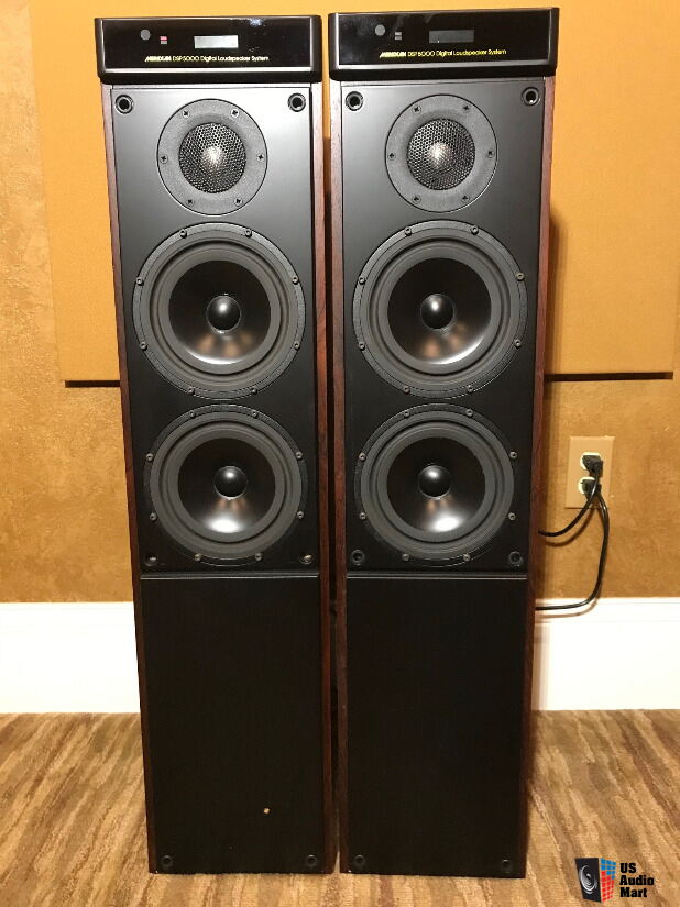 Meridian DSP5000 Digital Loudspeakers - Rosewood (Pair) For Sale - US ...
