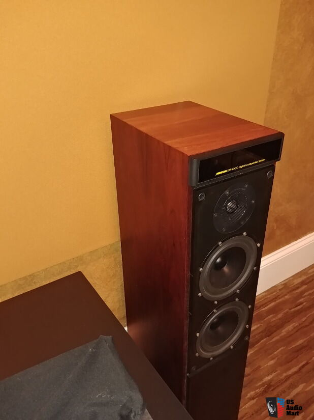 Meridian DSP5000 Digital Loudspeakers - Rosewood (Pair) Photo #5588368 ...