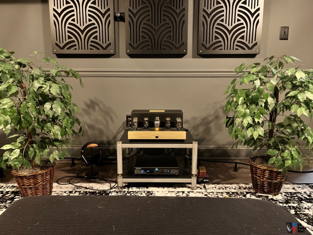 Golden Tube SE40 with Sonic Craft mods Photo #5607125 - US Audio Mart