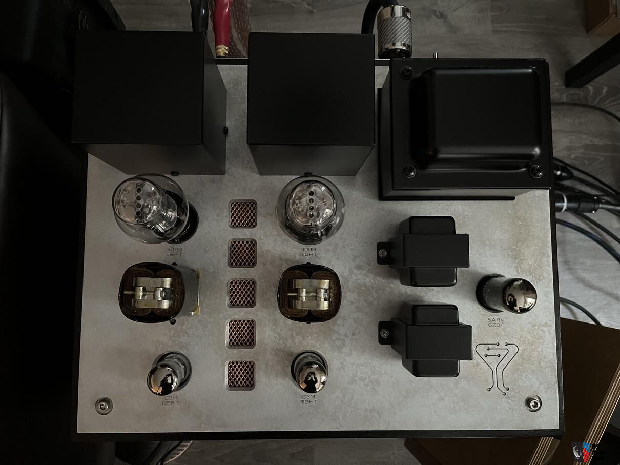 Brand New Treehaus Custom 300B-1 Single Chassis Amplifier - By Rich ...