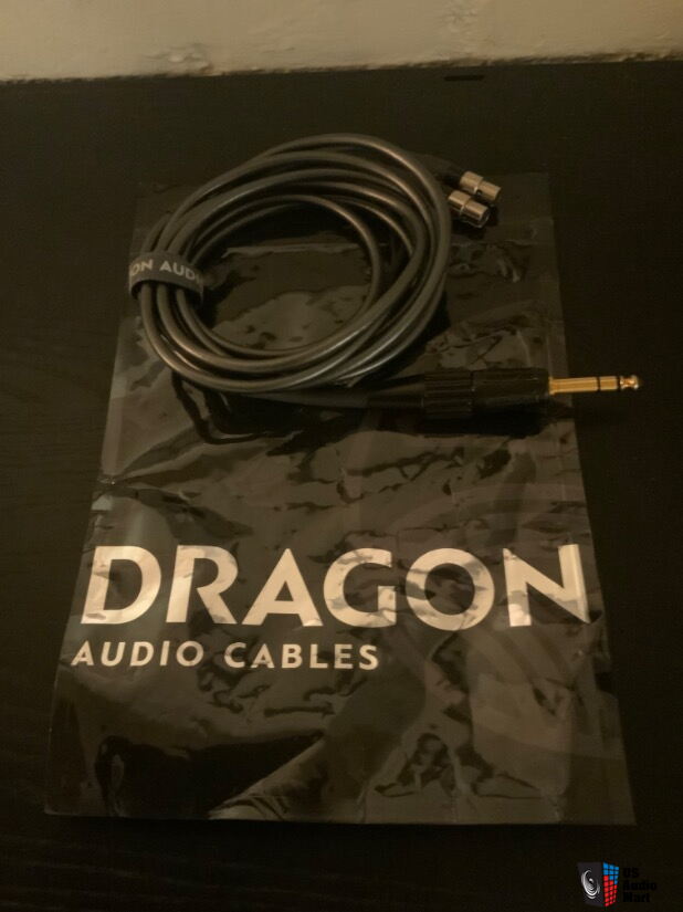 Moon Silver Dragon Headphone Cable 10 feet Photo #5613143 - US Audio Mart