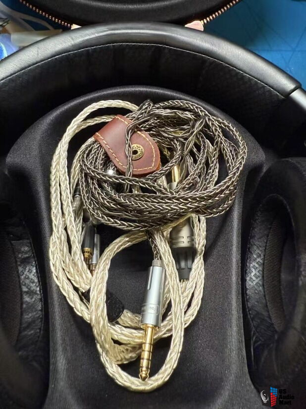 Focal Radiance W/extras Photo #5617850 - US Audio Mart