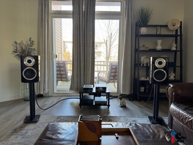 Cabasse Murano in piano black, stands, SVS Micro 3000, Nuprime AMG STA ...