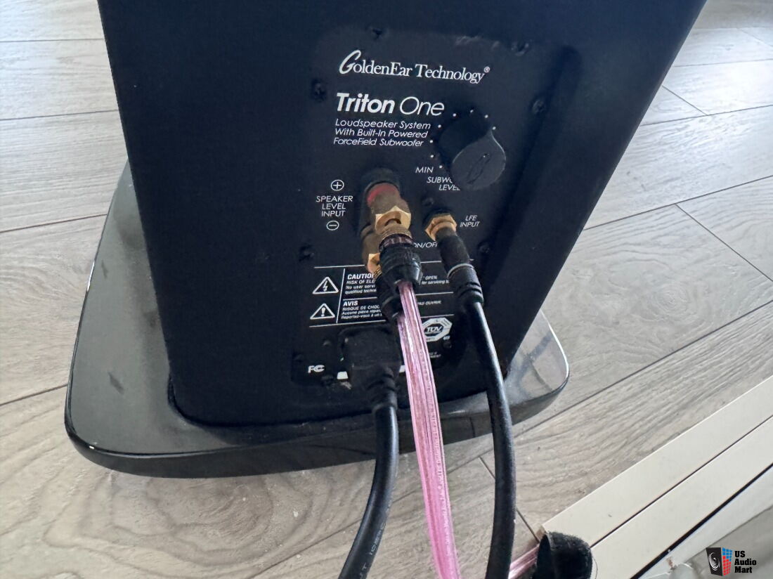 Goldenear Triton 1 Floorstanding speakers Photo #5621225 - US Audio Mart