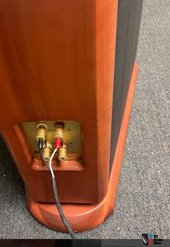 Zingali hm215 full range loudspeakers pair Photo #5625470 - US Audio Mart