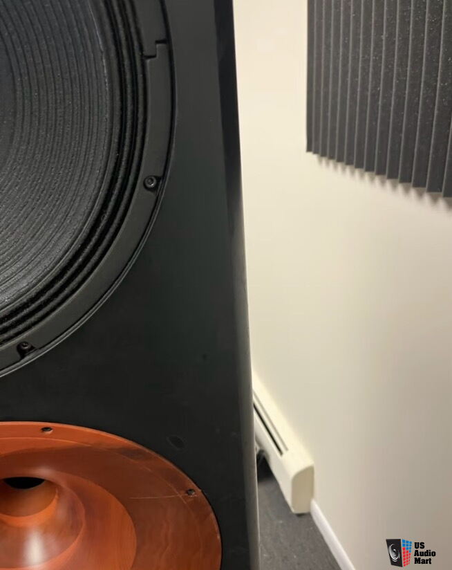 Zingali hm215 full range loudspeakers pair Photo #5625471 - US Audio Mart