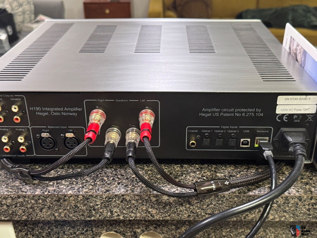 Hegel H190 Integrated Amplifier - Custom Brushed Stainless Finish Photo ...