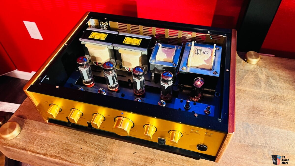 Leben CS600X with Upgrades Photo #5632827 - US Audio Mart