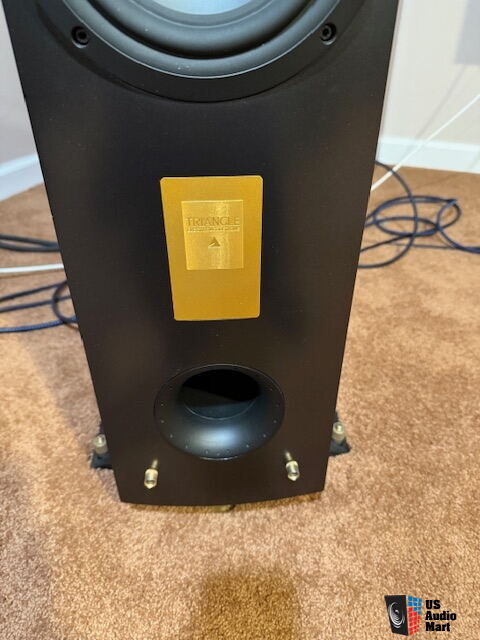 Triangle Antal ESW Speakers - great condition Photo #5637436 - US Audio ...