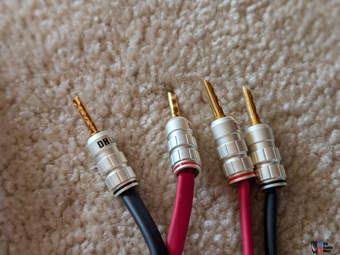 DH Labs Silver Sonic Q-10 Signature speaker cables, 10'2 Photo #5639058 ...