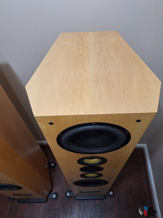 PBN (Peter Noerbaek) EPS2 Tower Speakers Photo #5640346 - US Audio Mart