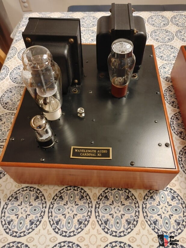 Wavelength Cardinal XS mono block amplifiers Rare - he last amps you ...